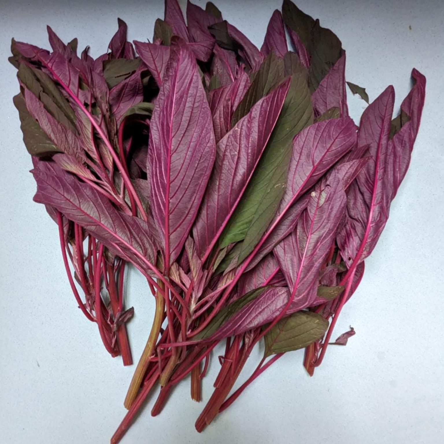 Exploring the Richness of Callaloo: 4 Irresistible Dishes You Must Try ...